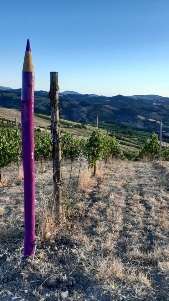 Tra i filari dell'Oltrepò spuntano matite giganti colorate - la Repubblica