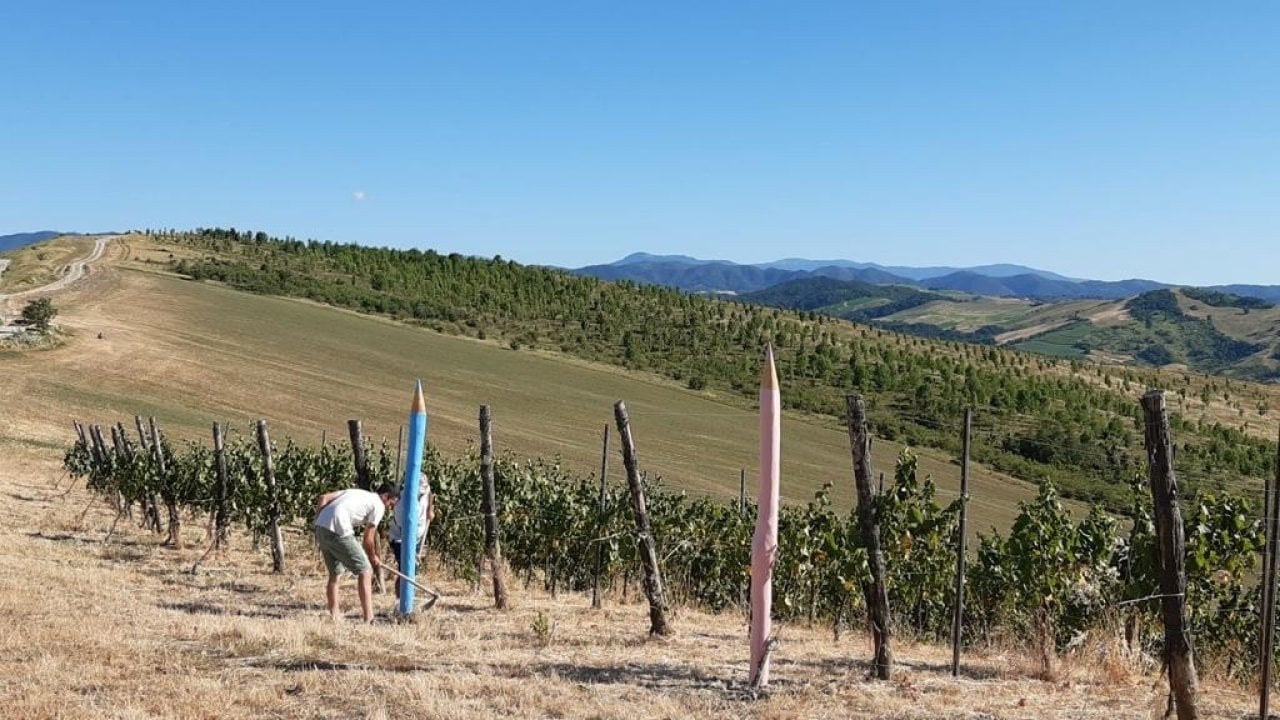 Tra i filari dell'Oltrepò spuntano matite giganti colorate - la Repubblica