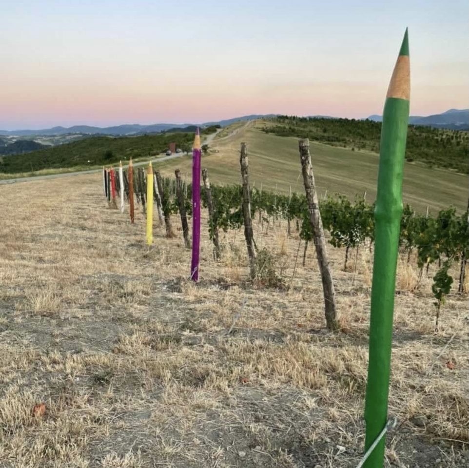 Tra i filari dell'Oltrepò spuntano matite giganti colorate - la Repubblica
