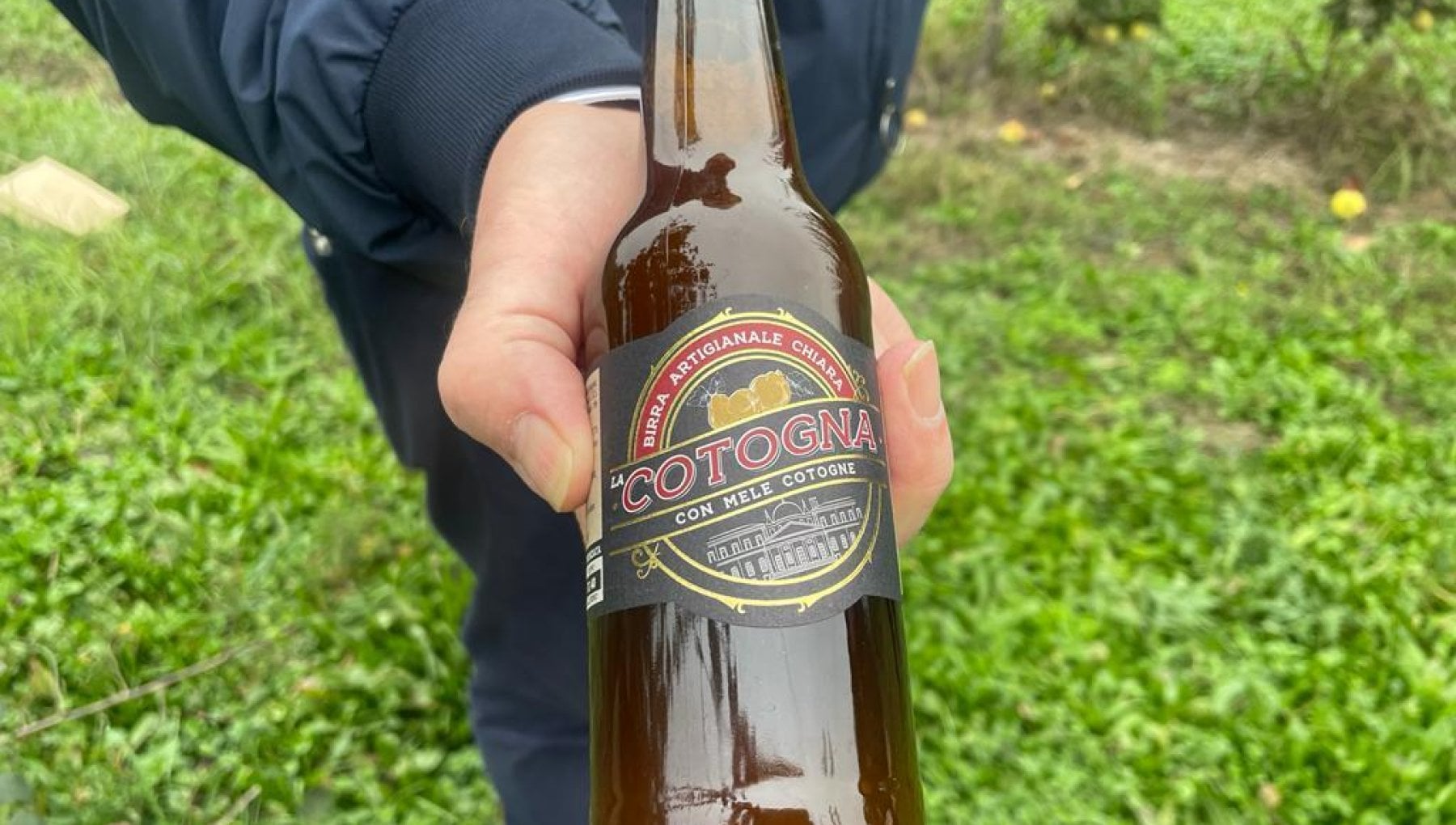 La birra di Codogno: la novità che riscopre le origini con la mela ...