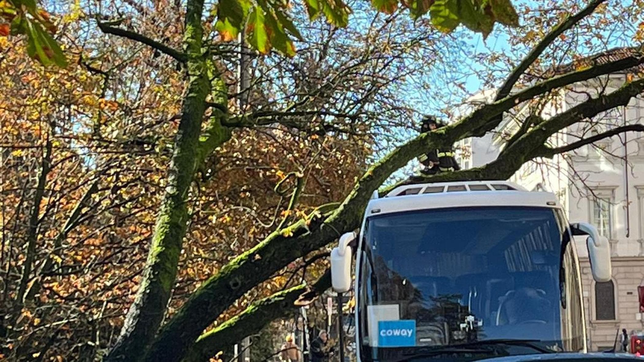 A Milano albero cade su pullman turistico parcheggiato in via Manin ...