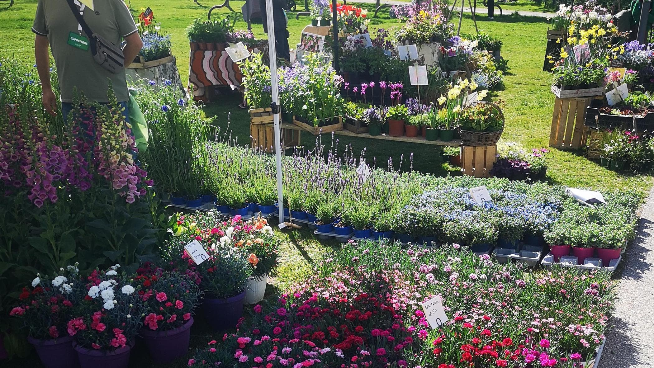 Flora, decora e ristora: all’Arco della Pace tre giorni tra piante ...