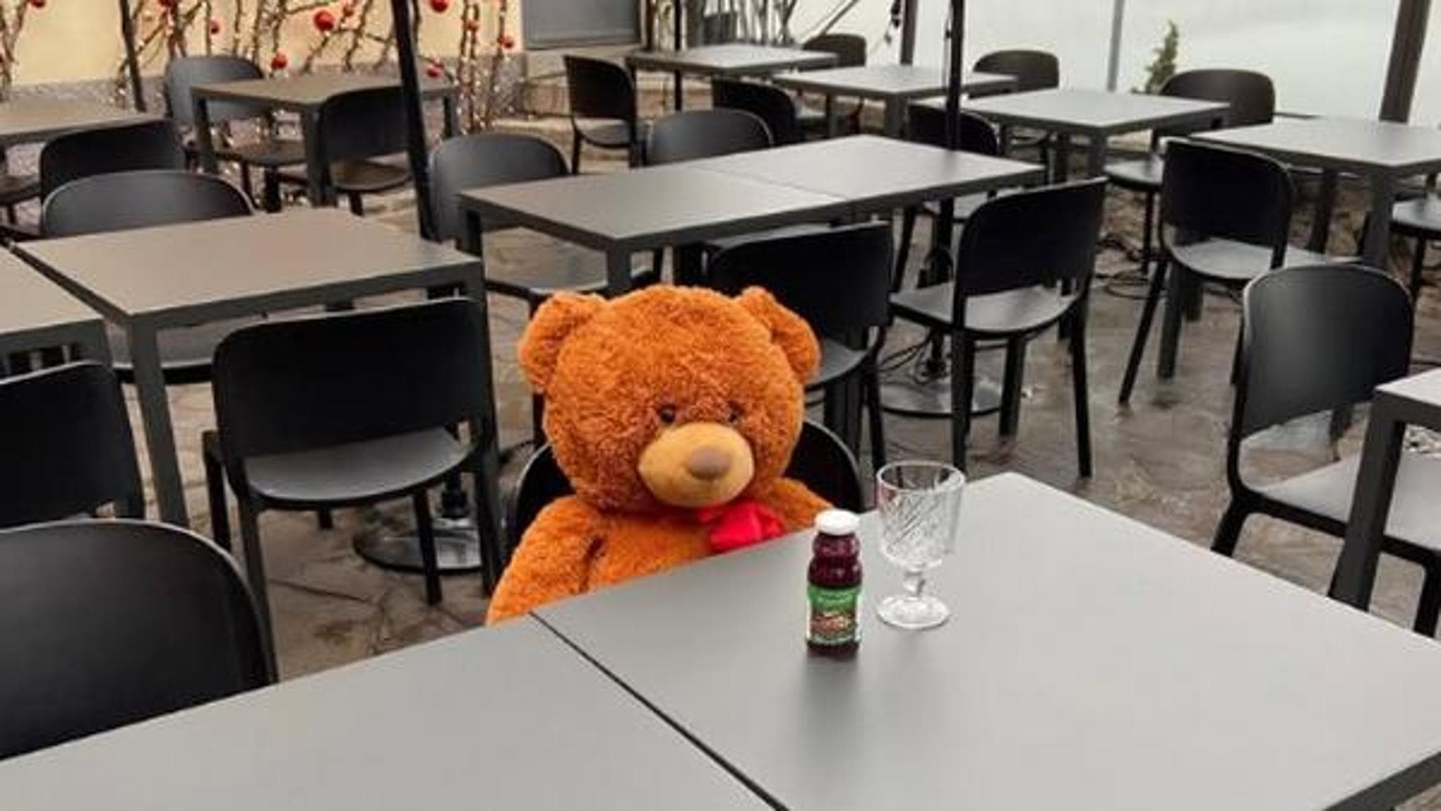 Bergamo, "rapiti" mamma e papà Orso al Baretto di San Vigilio ...
