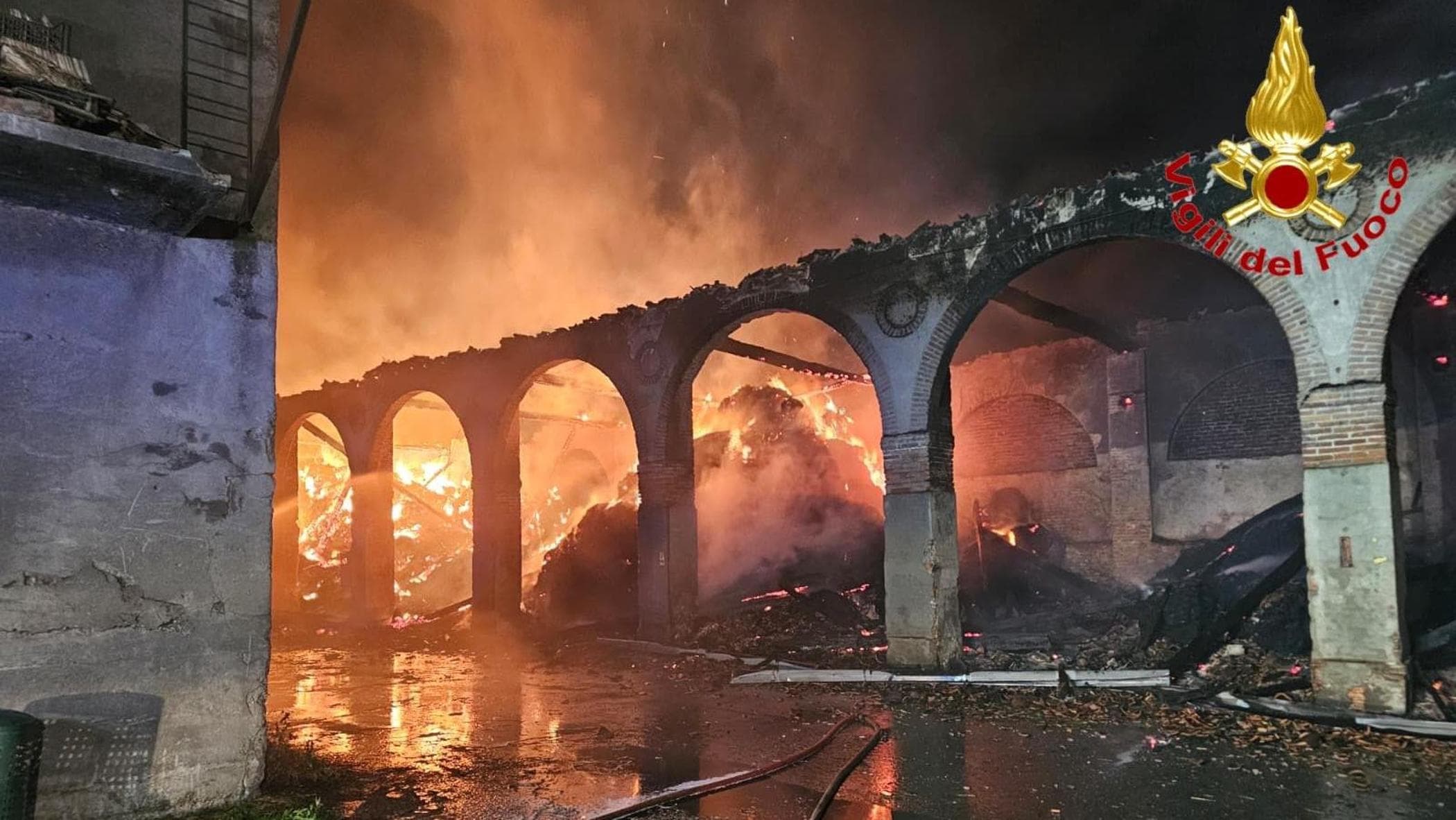 Incendio in una cascina, salvate 510 mucche da latte: “Colpita da un ...