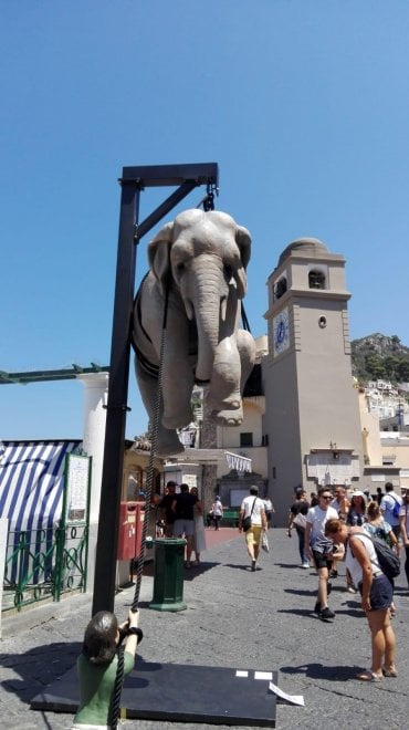 "Marta e l'elefante", mega installazione d'arte a Capri - la Repubblica