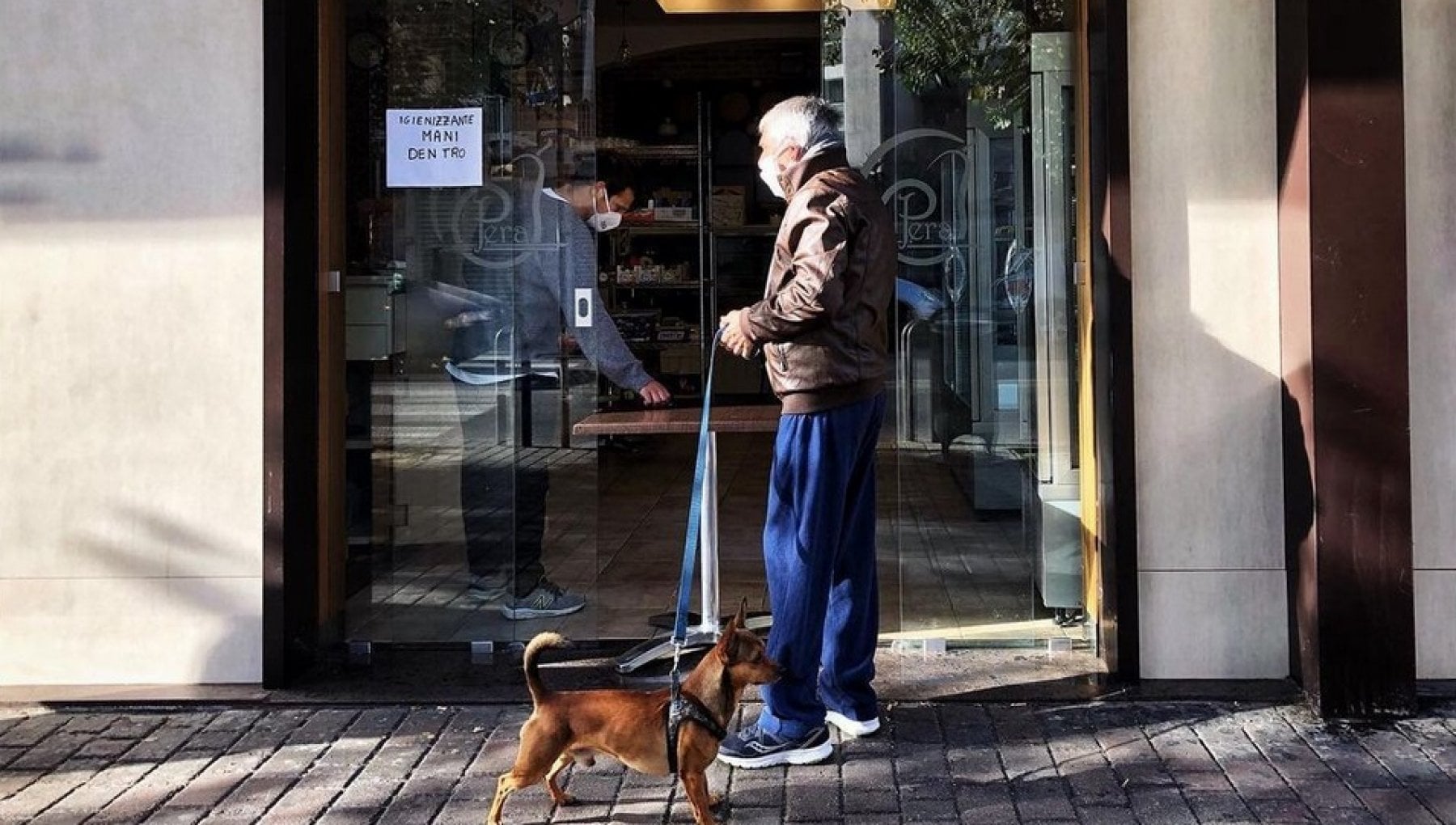 Sorpresa, Napoli è "dog friendly": prima in Europa per attenzione alle ...