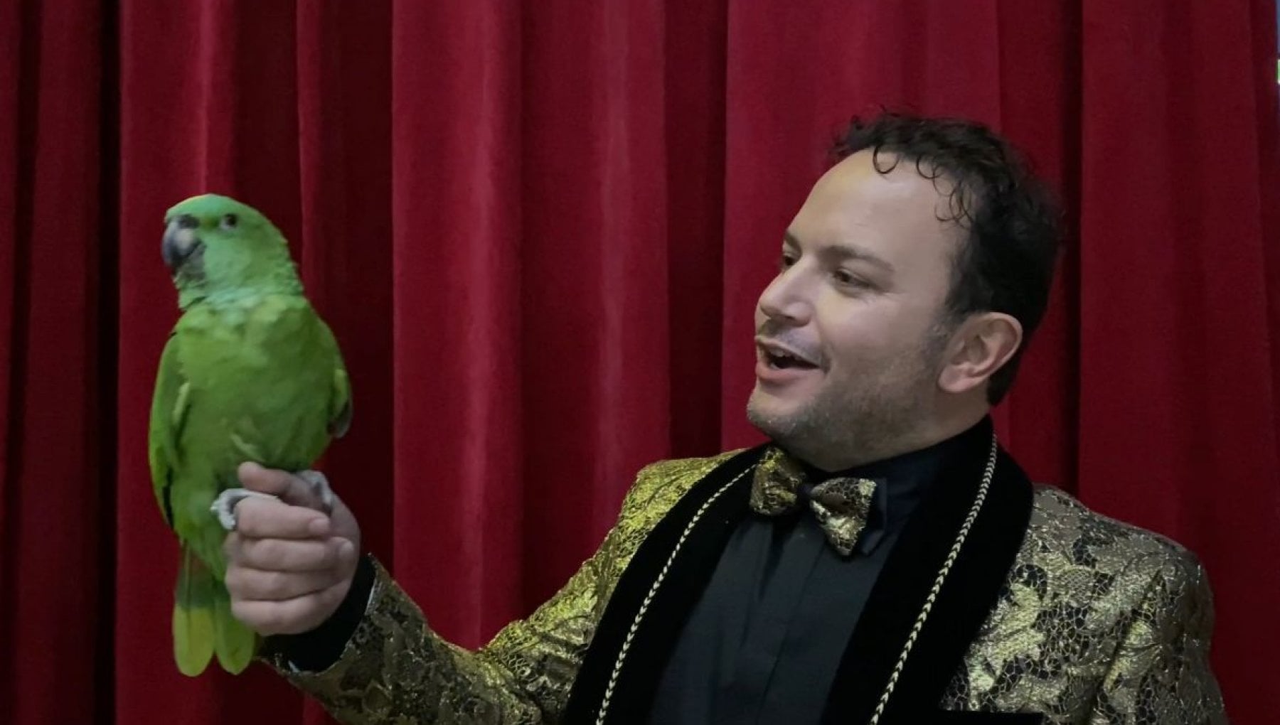 Napoli, 150 anni del circo Lidia Togni: in pista il "pappagallo-tenore ...