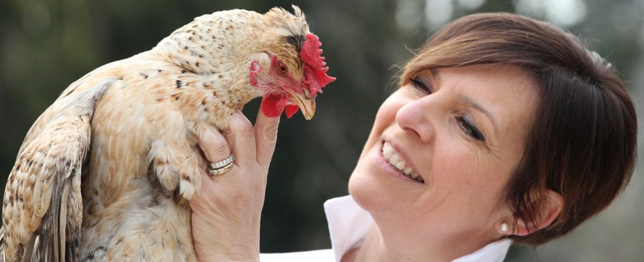 The garda EGG co, biologiche e di tutti i colori: le uova delle galline ...