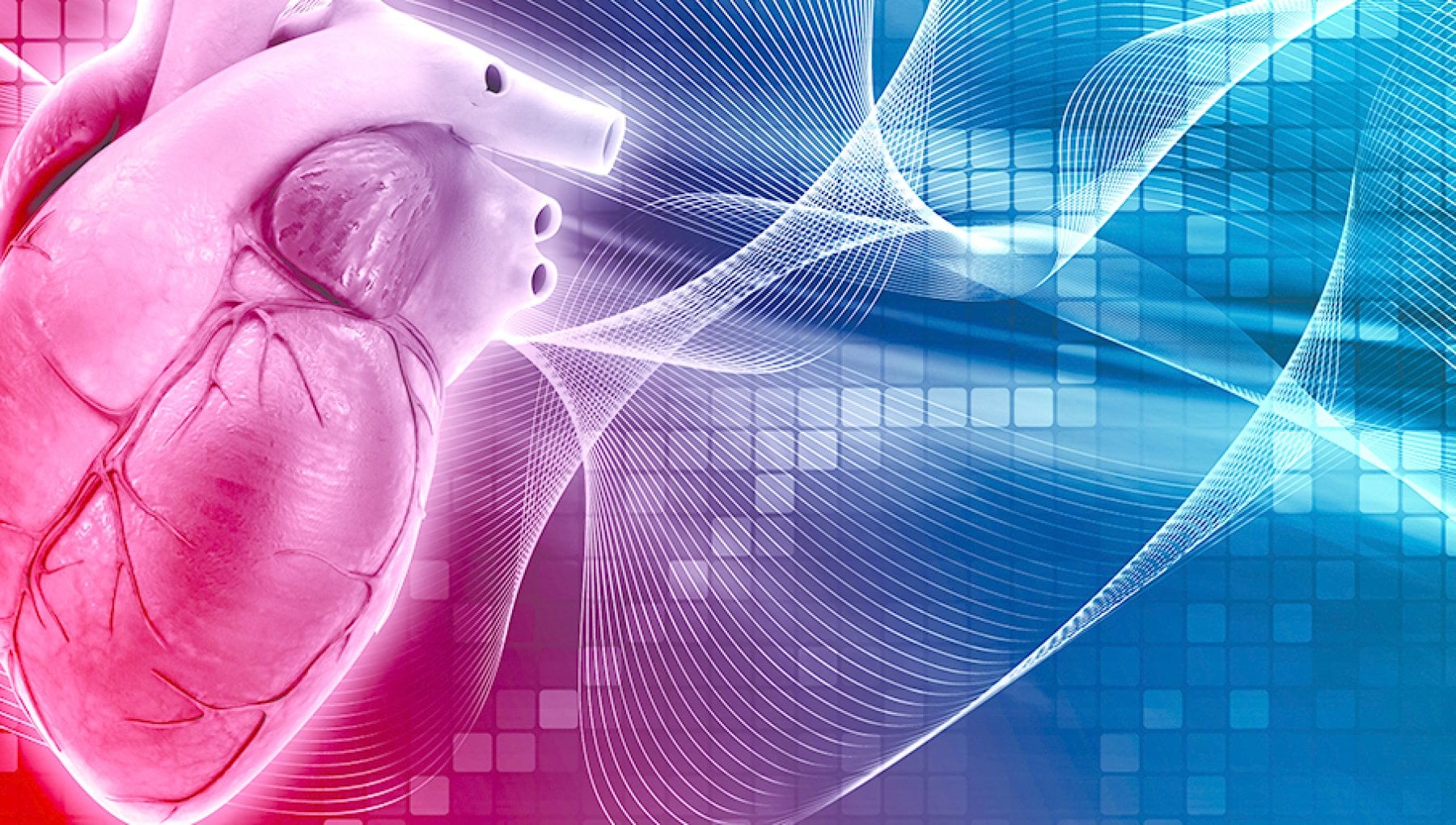 Dottor De Vivo, patologie cardiovascolari: il focus - la Repubblica