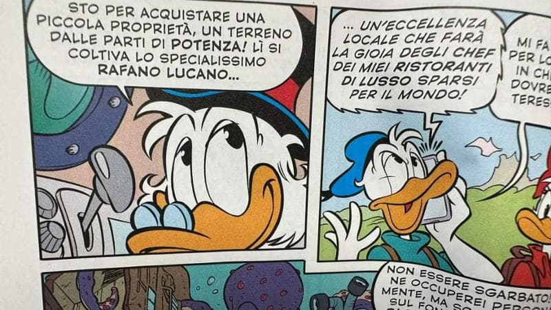Se a lanciarsi con il Volo dell'Angelo sono Paperino e Paperina - la ...