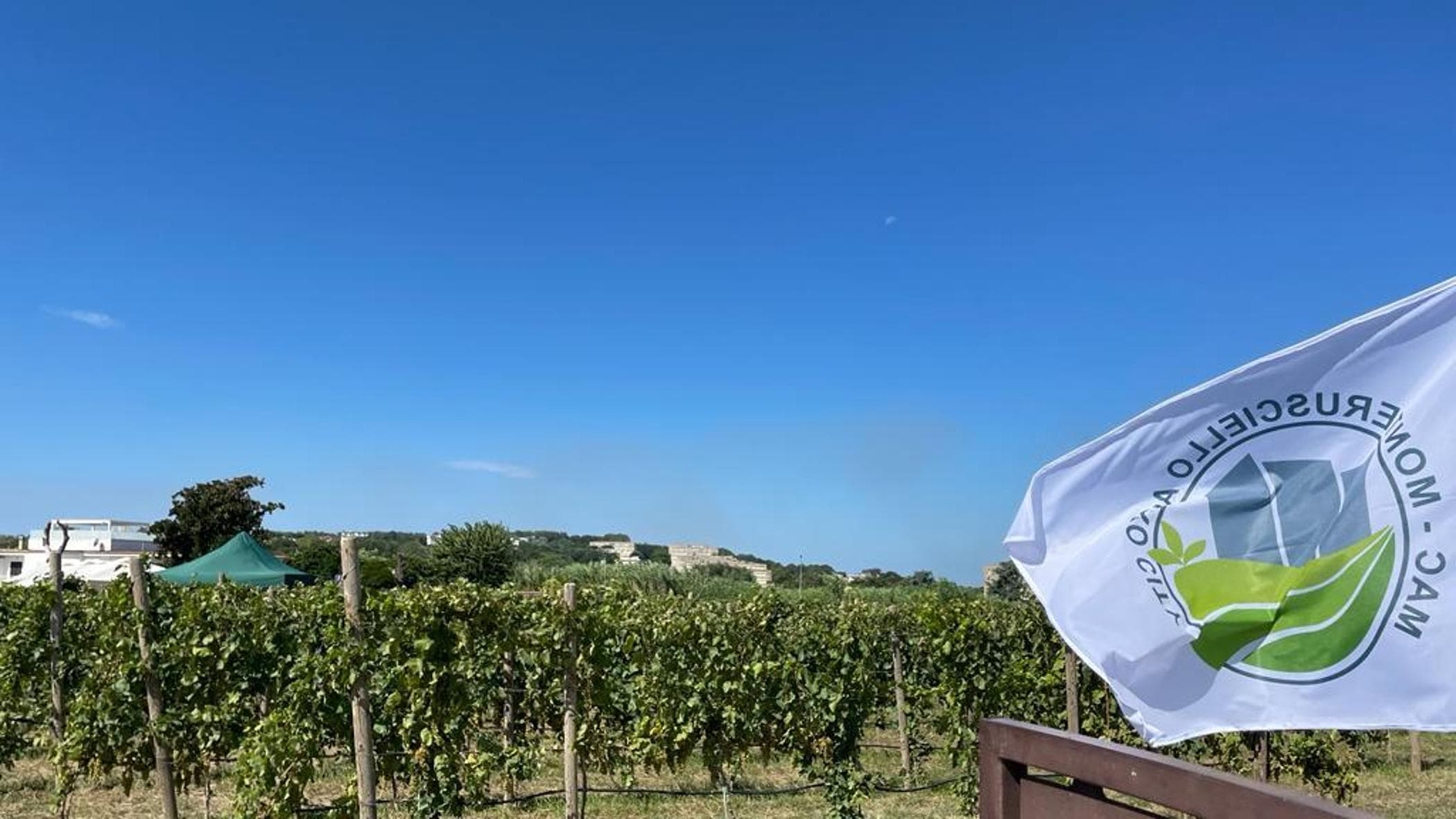 Monteruscello Fest, solidarietà e ricerca scientifica: testimonial è il ...