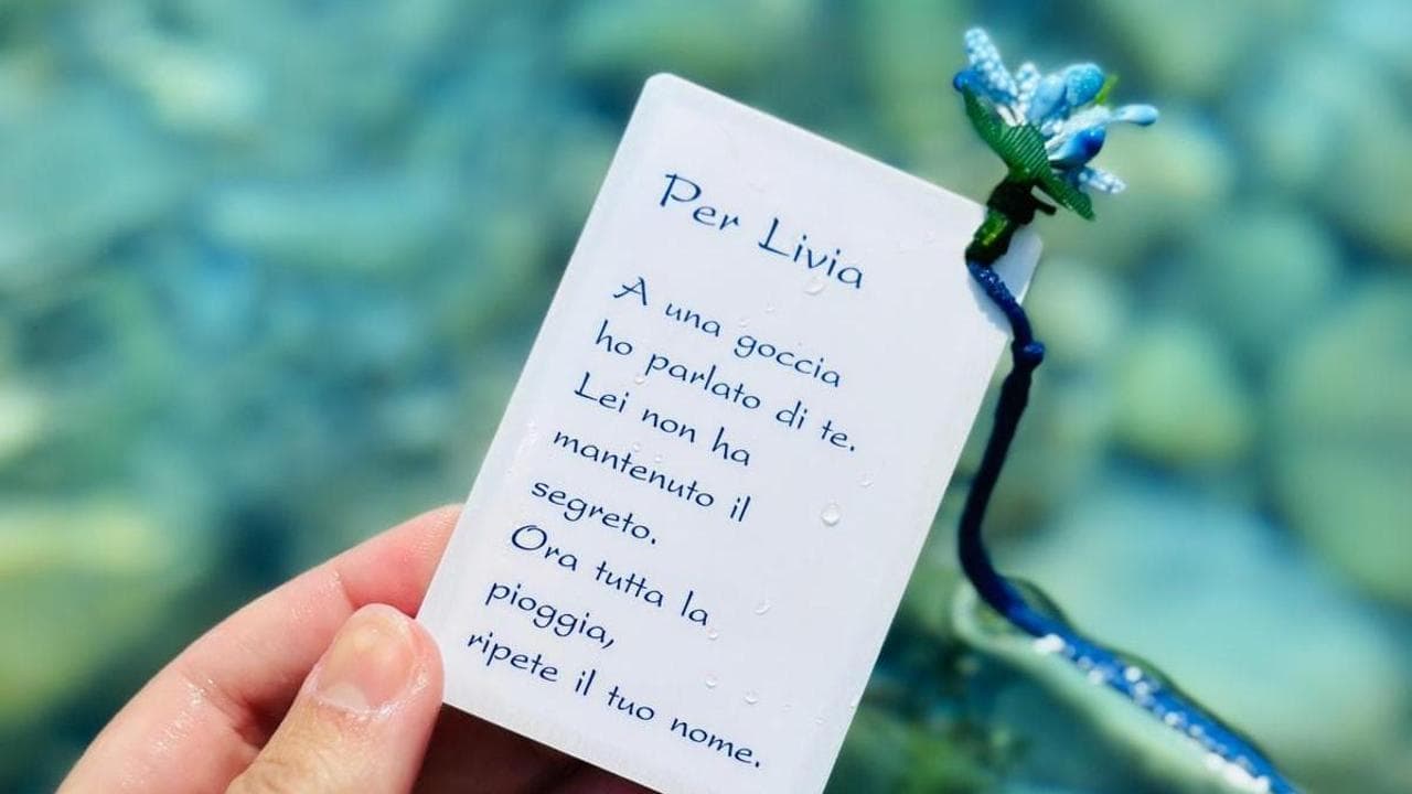 "Giulia Cecchettin come la mia Livia, morta a 22 anni per colpa di un ...