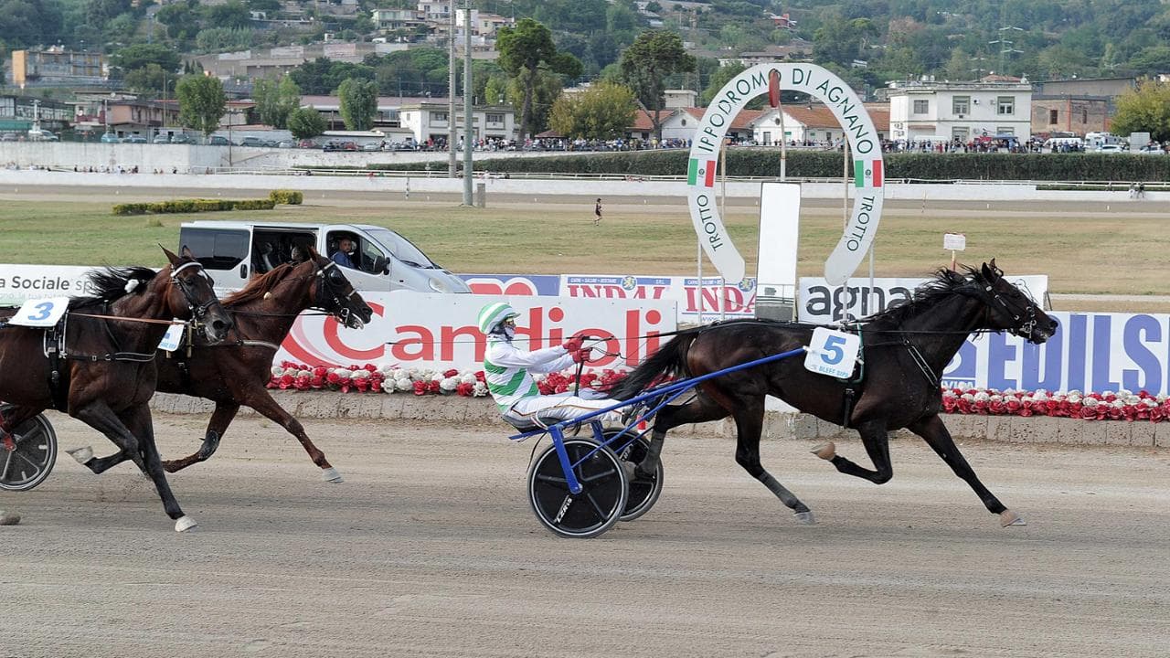 Trotto, sere d'estate all'ippodromo di Agnano: torna il gran premio ...