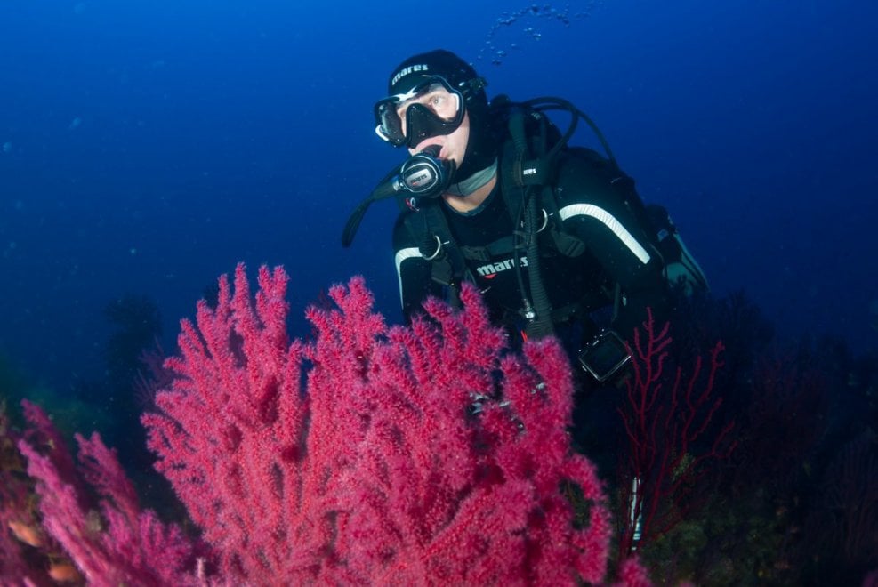 Santa Flavia, un weekend tra immersioni e corsi di subacquea - la ...