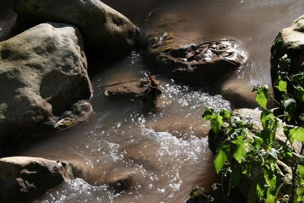 Oreto, il fiume dimenticato da Palermo in cima alla classifica dei ...