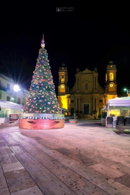 Terrasini, l'albero in piazza è fatto di "Radici" - la Repubblica