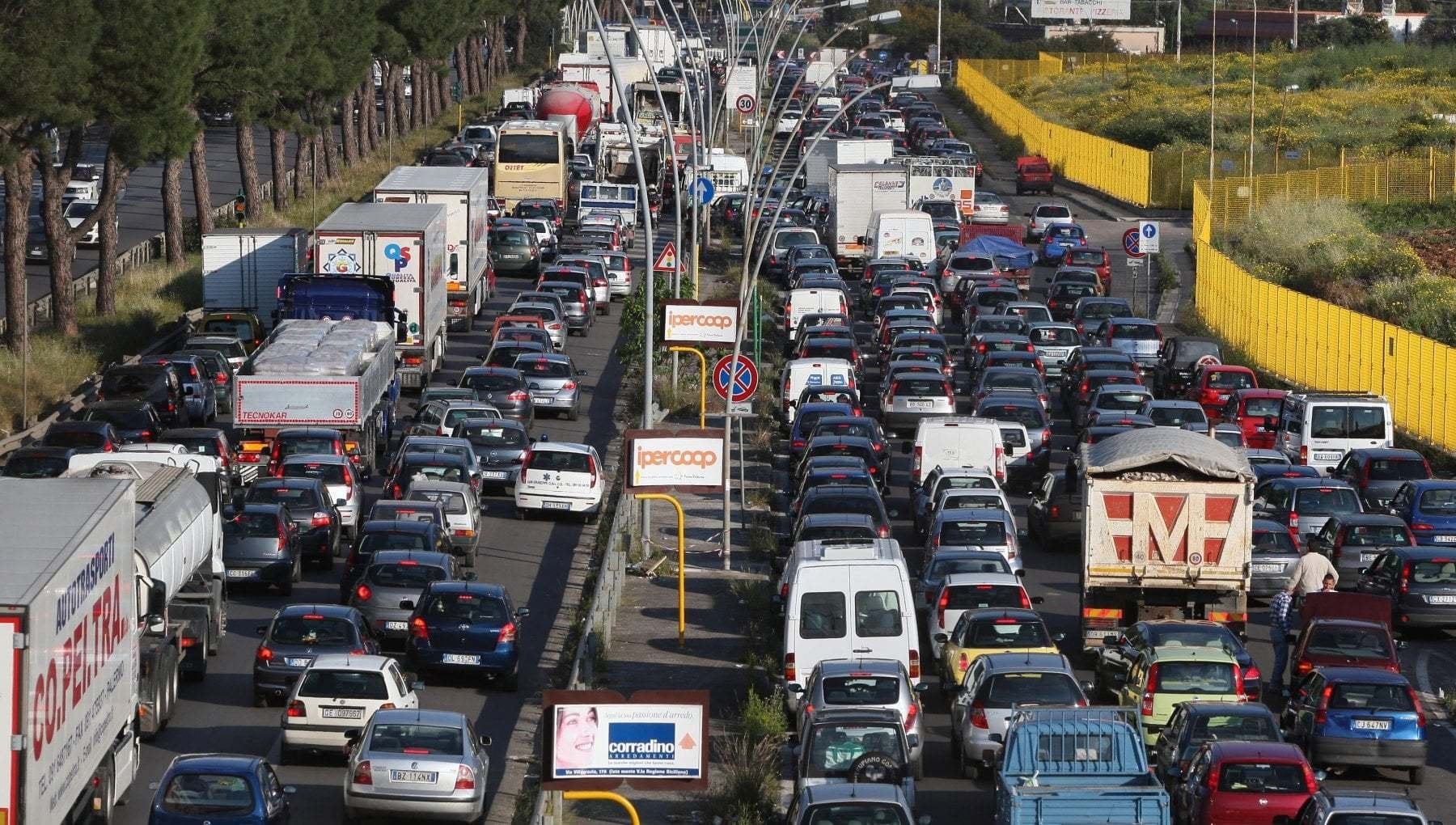 Traffico, tanto smog e pochi alberi. La Sicilia non è una regione verde ...