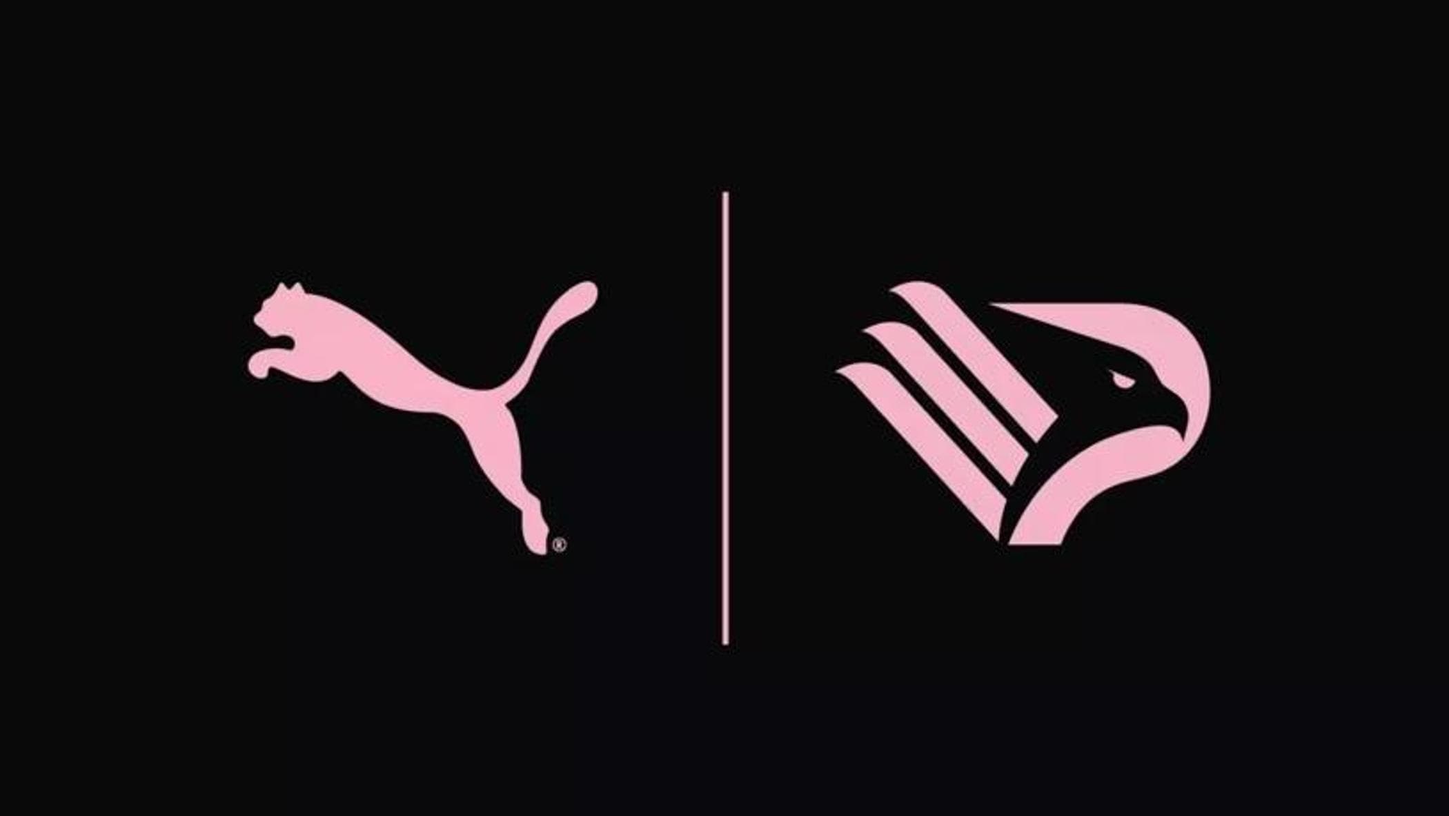 Il Palermo ha un nuovo sponsor, sulle maglie torna il Puma - la Repubblica