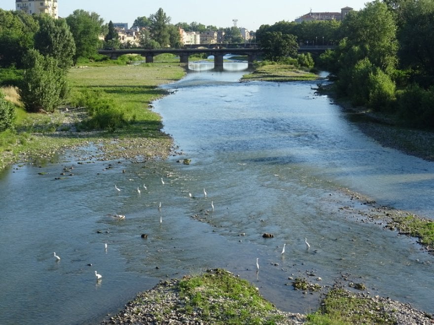 Torrente Parma: lo scrigno della biodiversità - Foto - la Repubblica