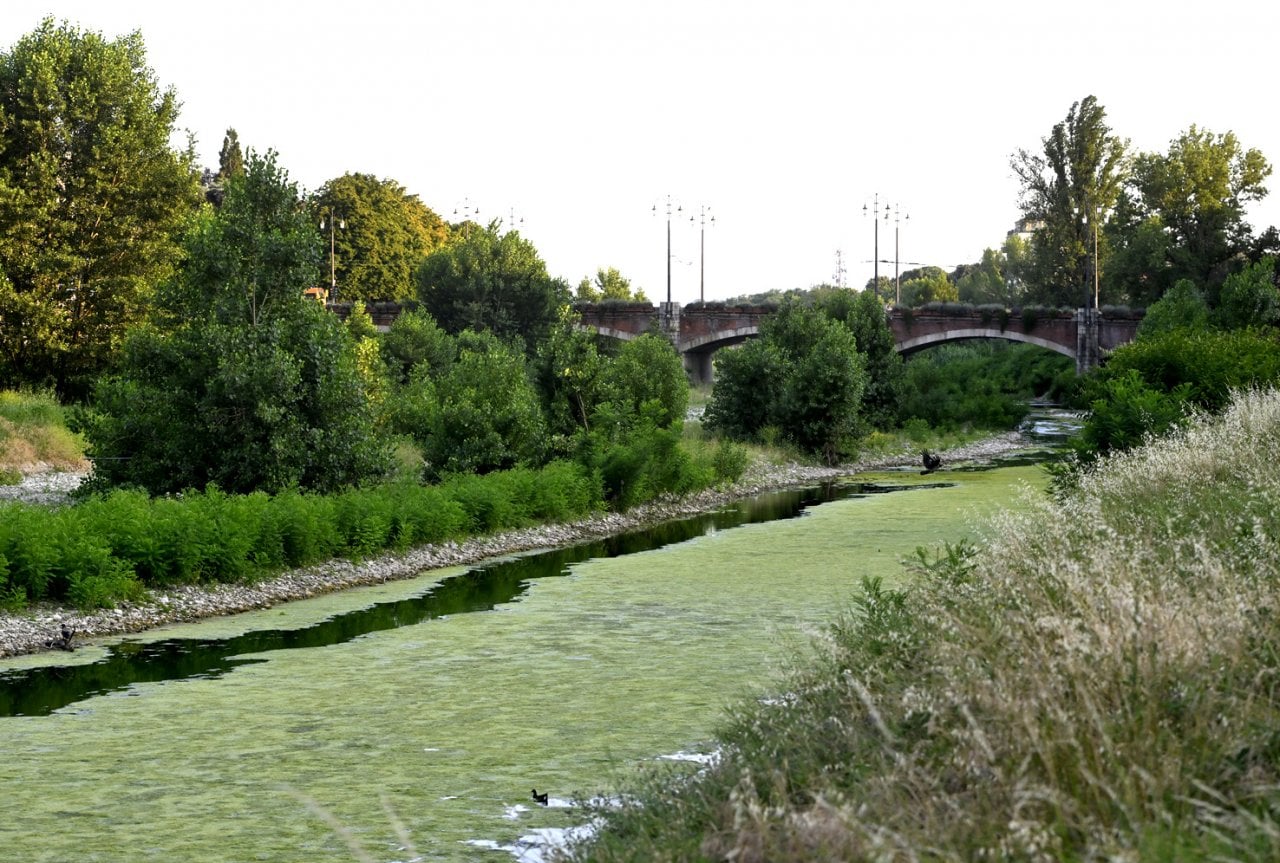 La Parma a secco: la siccità prosciuga il torrente - foto - la Repubblica