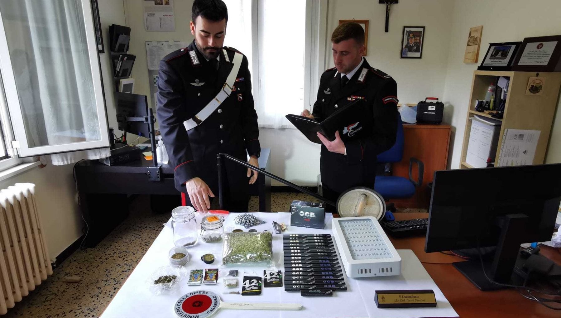 Colpisce il fratello con un'ascia, denunciato 29enne a Bore - la Repubblica