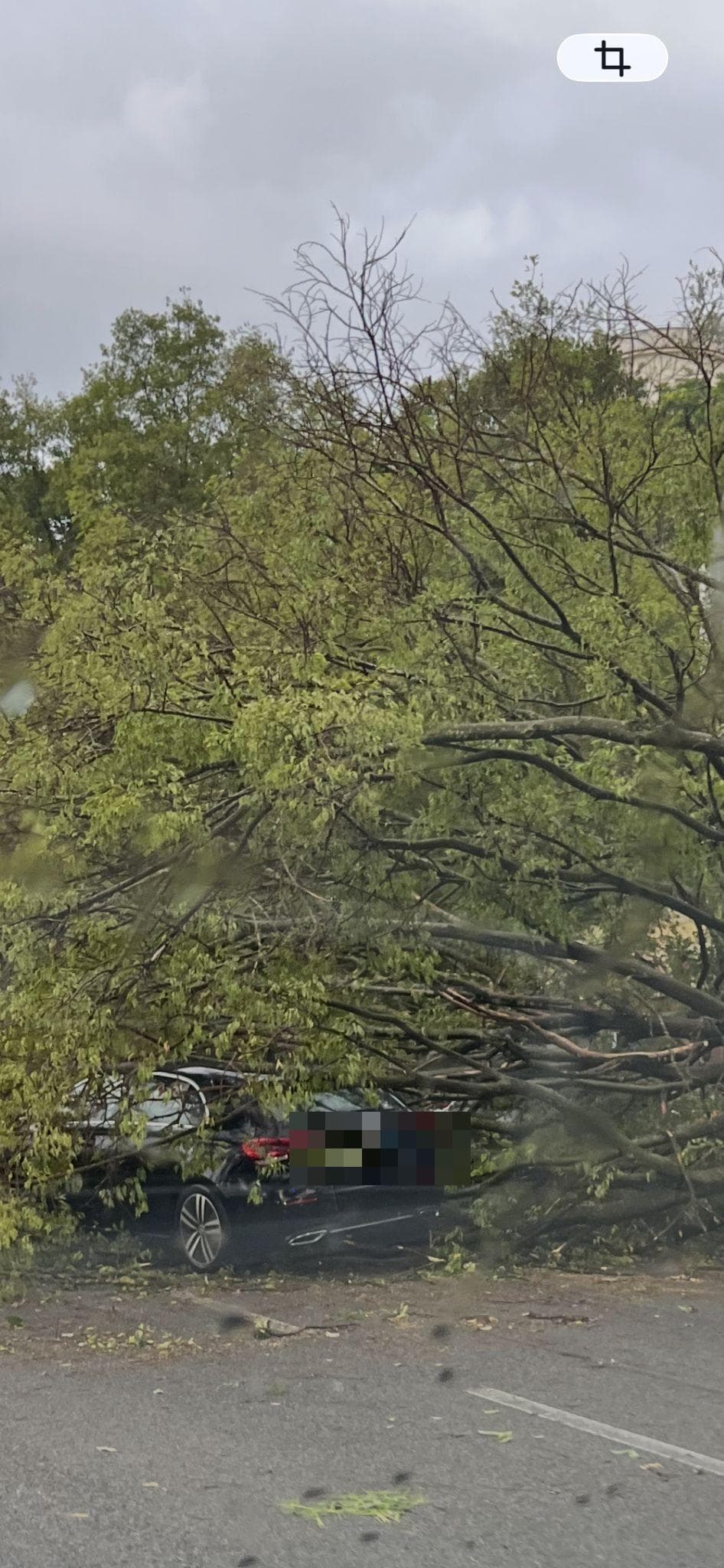 Il maltempo mette in ginocchio Roma, 60 alberi caduti: un ferito lieve ...
