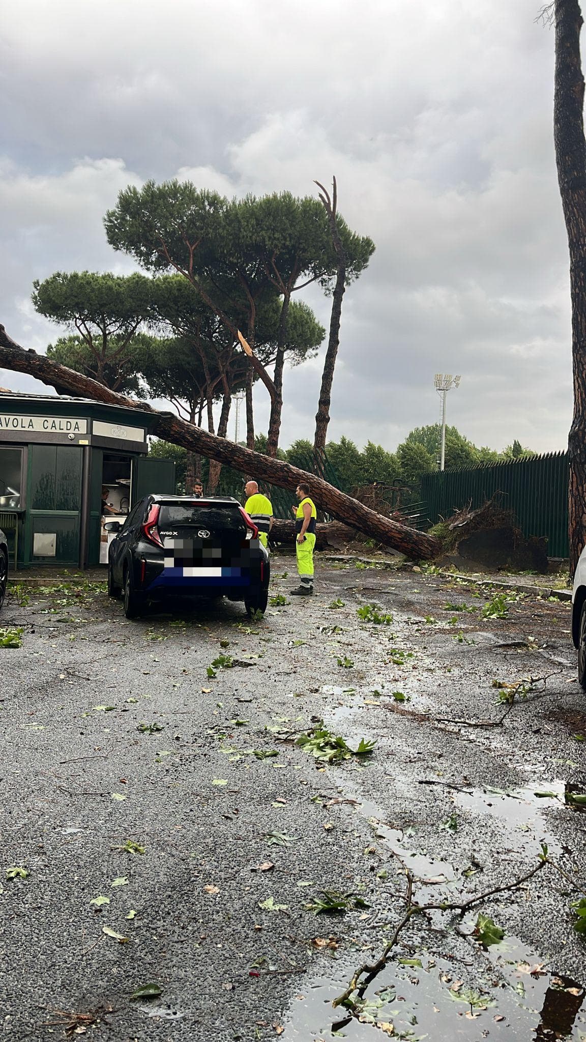 Il maltempo mette in ginocchio Roma, 60 alberi caduti: un ferito lieve ...