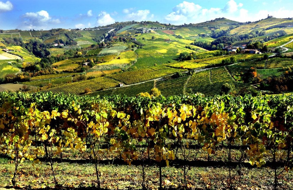 Il regalo dell'autunno alle colline del Monferrato: colori mozzafiato ...