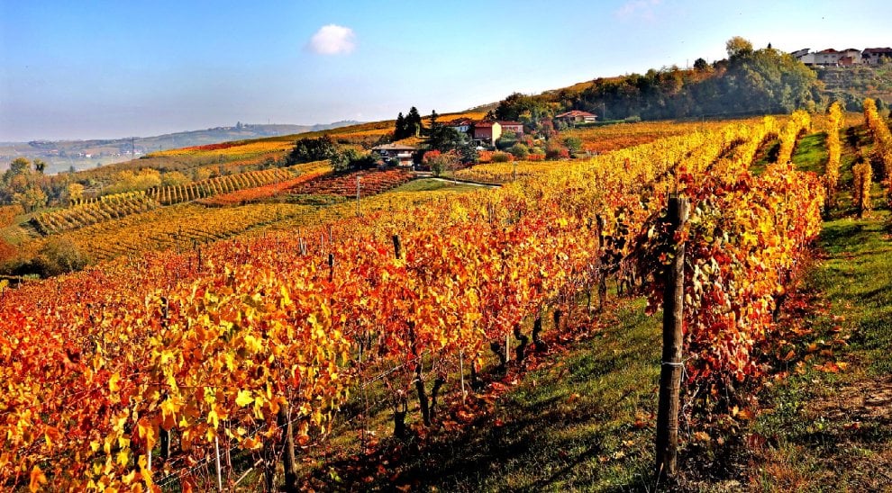 Il regalo dell'autunno alle colline del Monferrato: colori mozzafiato ...
