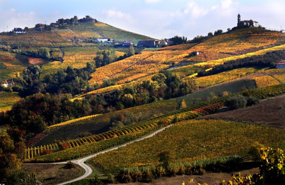 Il regalo dell'autunno alle colline del Monferrato: colori mozzafiato ...