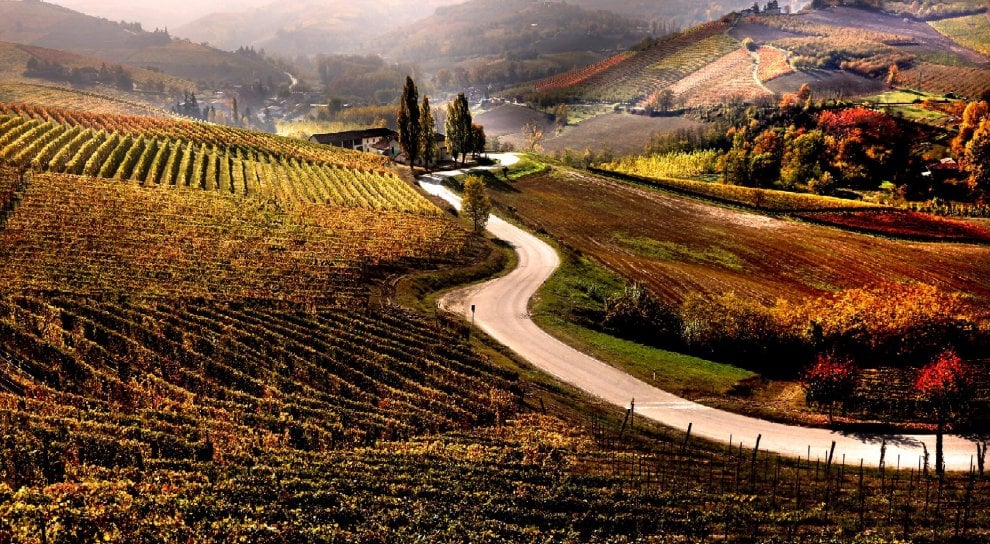 Il regalo dell'autunno alle colline del Monferrato: colori mozzafiato ...