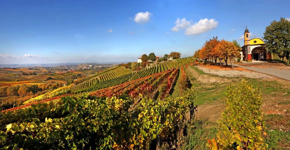 Il regalo dell'autunno alle colline del Monferrato: colori mozzafiato ...