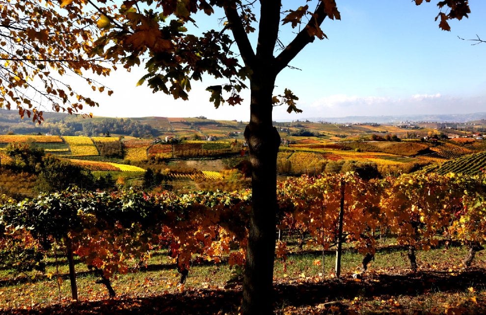 Il regalo dell'autunno alle colline del Monferrato: colori mozzafiato ...