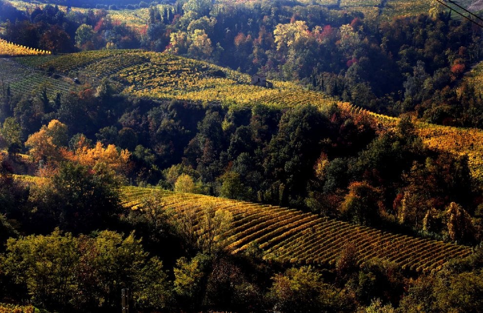 Il regalo dell'autunno alle colline del Monferrato: colori mozzafiato ...