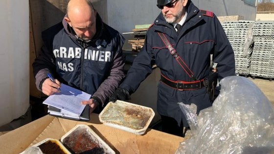 Cibi pronti e dolci scaduti da anni, insetti ovunque: "magazzino da ...