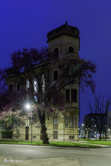 Torino, la primavera esplode nel quartiere Crocetta - la Repubblica