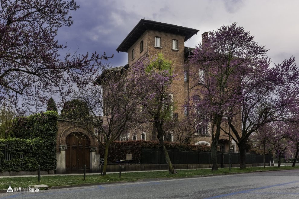 Torino, la primavera esplode nel quartiere Crocetta - la Repubblica