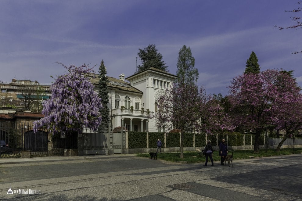 Torino, la primavera esplode nel quartiere Crocetta - la Repubblica
