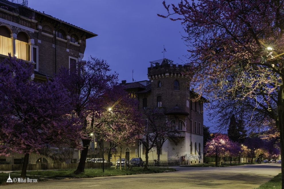 Torino, la primavera esplode nel quartiere Crocetta - la Repubblica