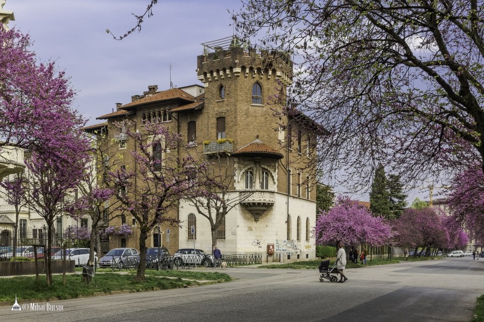 Torino, la primavera esplode nel quartiere Crocetta - la Repubblica