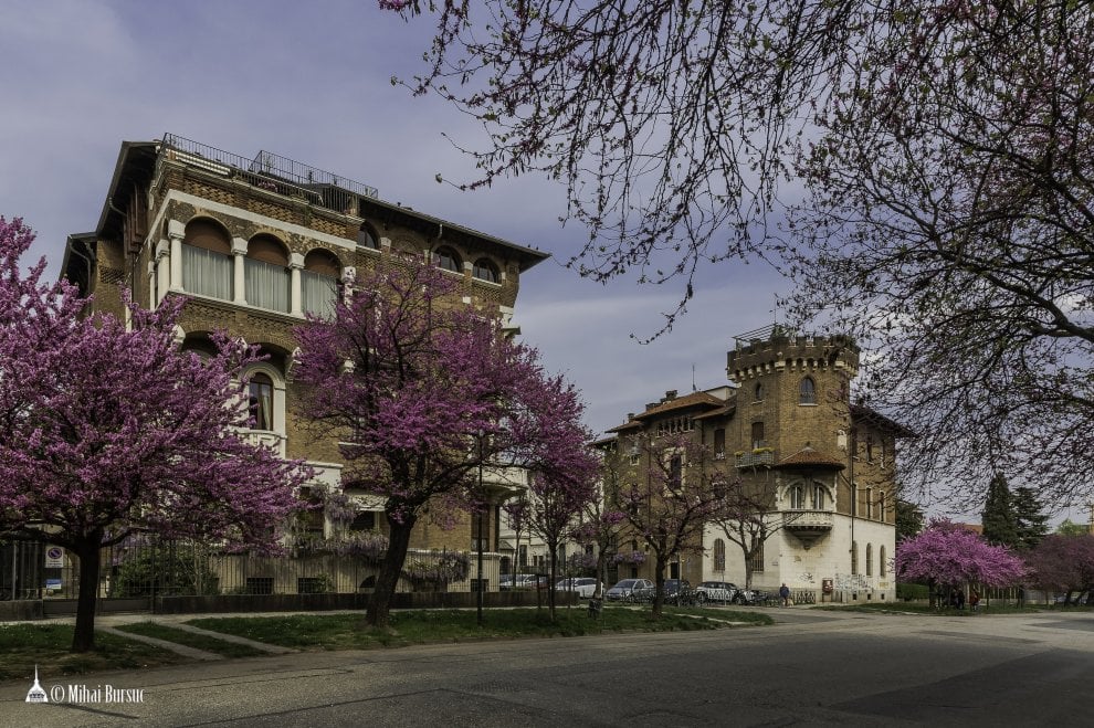 Torino, la primavera esplode nel quartiere Crocetta - la Repubblica