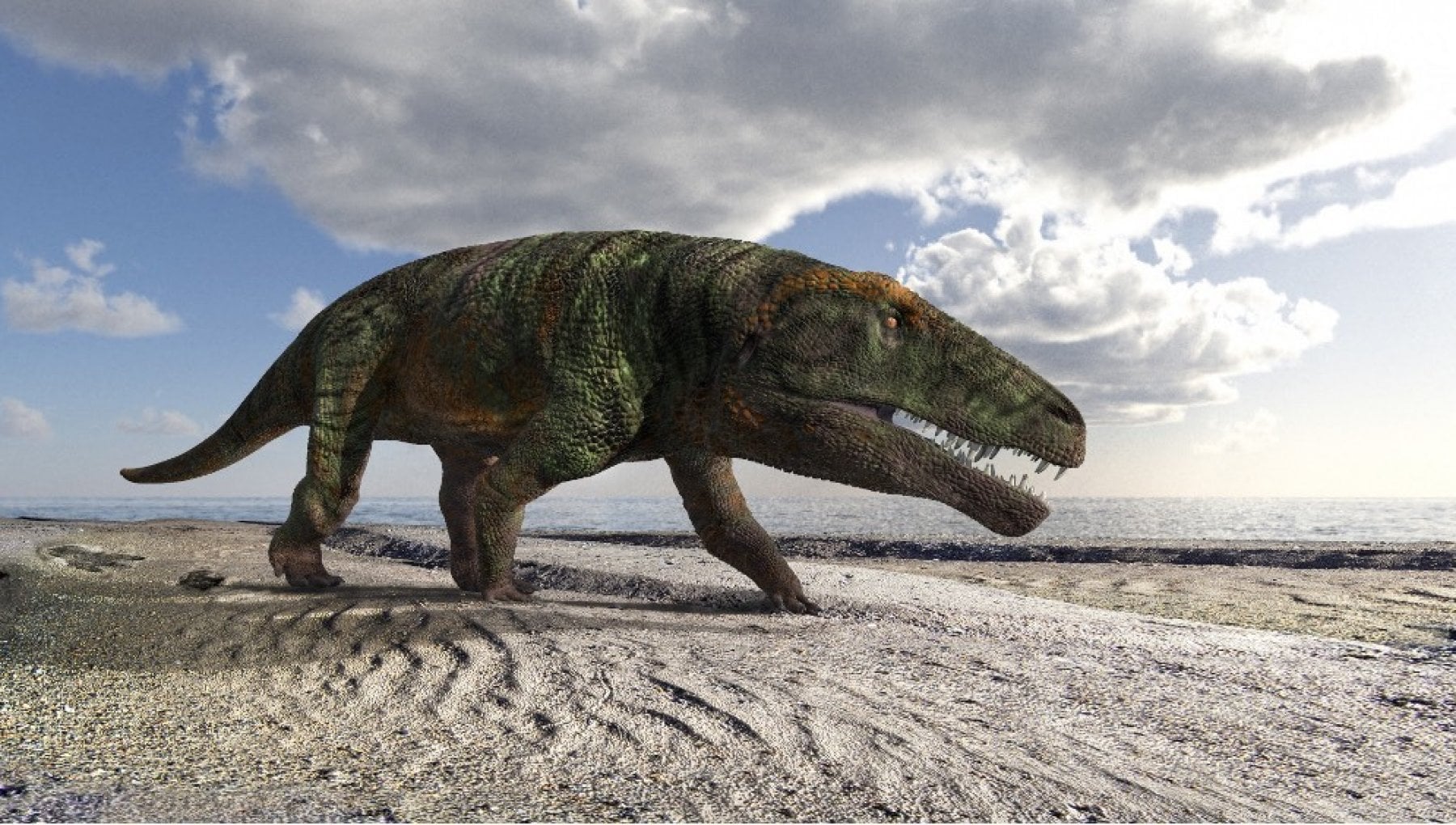 Alpi Dinosauri Di 250 Milioni Di Anni Fa Scoperte Impronte Nel Alpi Dinosauri Di 250 Milioni Di Anni Fa Scoperte Impronte Nel