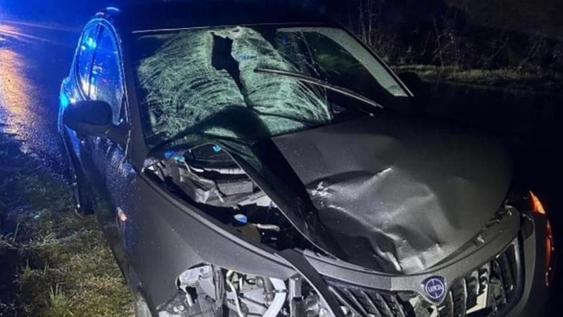 Bricherasio, investita e uccisa davanti casa: trascinata per 40 metri ...