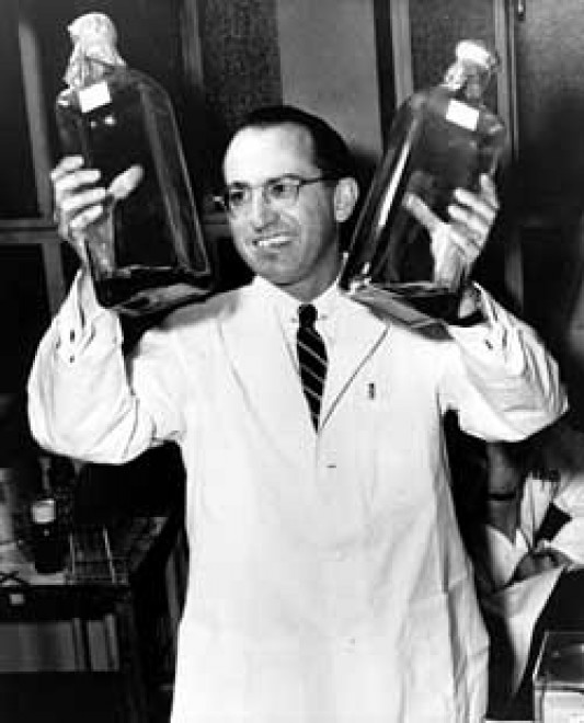 100° anniversario della nascita di Jonas Salk: il doodle di Google - la ...