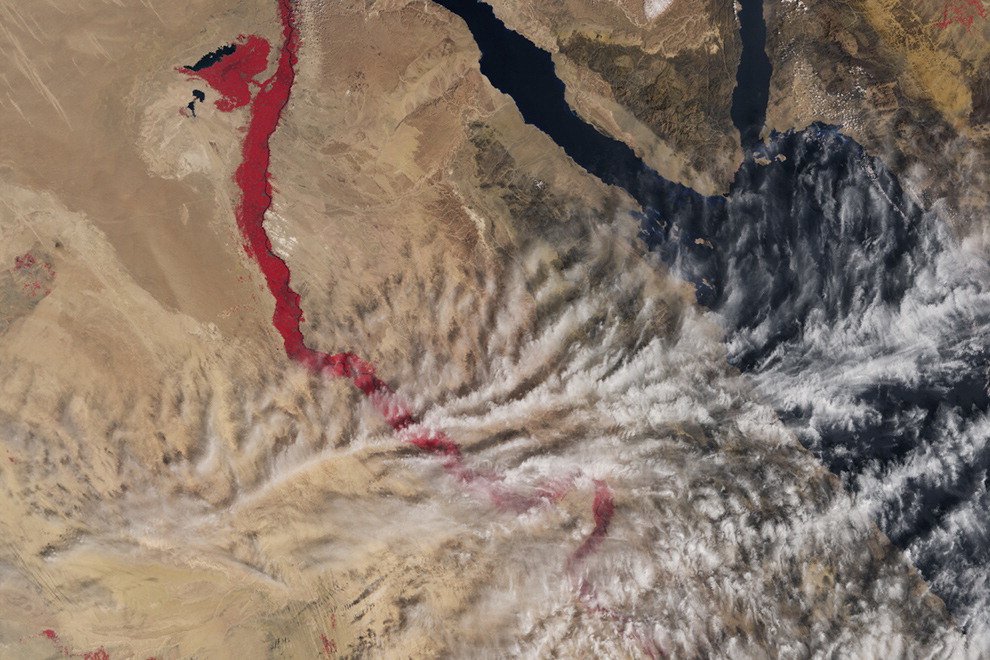Il Nilo si tinge di rosso, l'effetto della vegetazione dal satellite ...