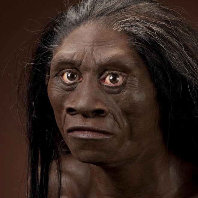 Nella grotta degli hobbit: i resti degli ominidi vissuti 700 mila anni ...
