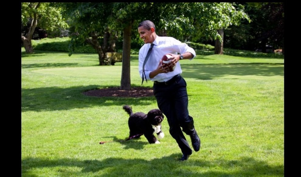 Usa, Obama presidente: gli otto anni alla Casa Bianca - fotostoria - la ...