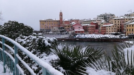 GENOVA E LA LIGURIA DI LEVANTE SOTTO LA NEVE… | Nel delirio non ero mai ...