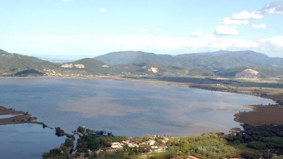 L'alga spirulina può salvare il lago di Puccini - la Repubblica