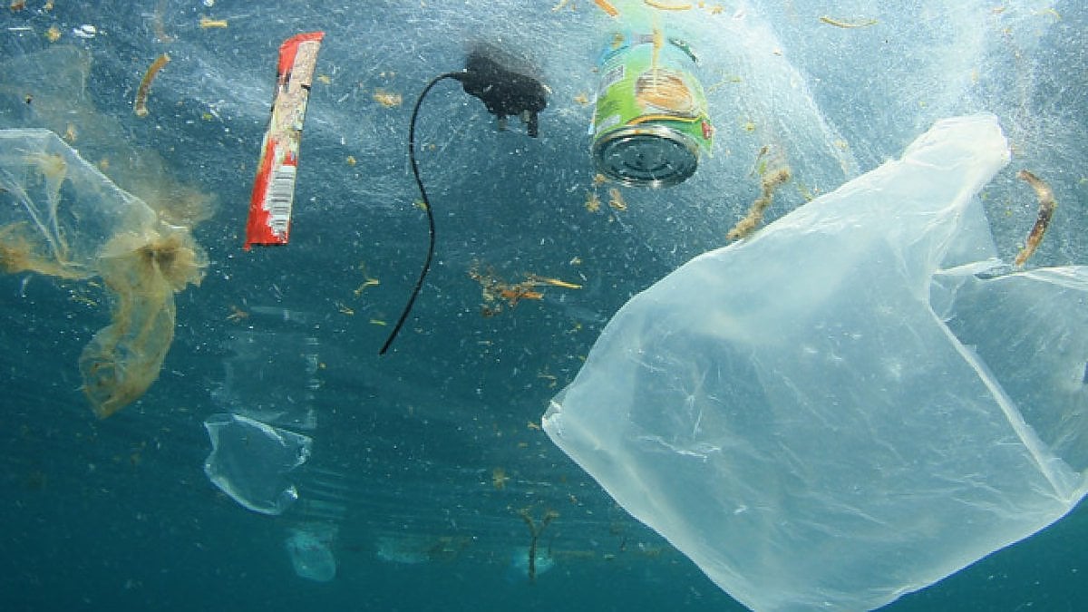 Quanto è profonda la plastica. Trovata nei pesci 11 km sotto alla ...